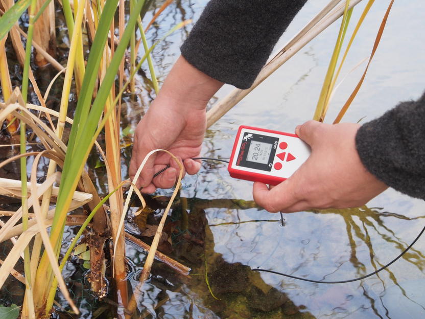 Handheld Oxygen Meter with Large Choice of O2 Sensors