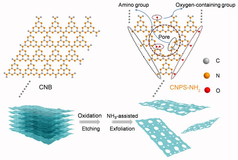 Nanostructuring increases efficiency of metal-free photocatalysts by ...