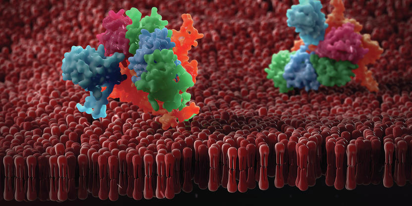 New tool for structural biology