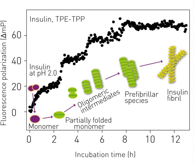 Novel aggregation-specific fluorogen monitors prefibrillar protein ... Novel aggregation-specific fluorogen monitors prefibrillar protein ...