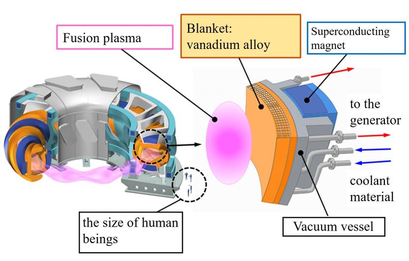 Developing new materials for the fusion reactor