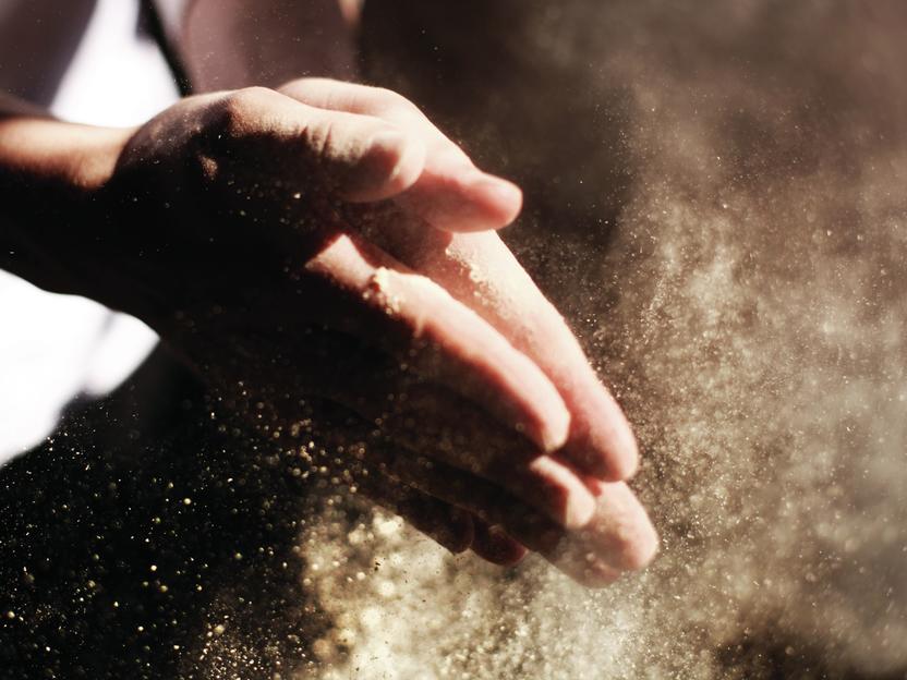 A dust-up: Microbes interact with harmful chemicals in dust