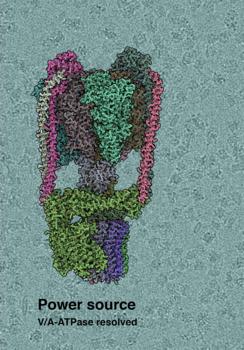 Structure of protein nano turbine revealed