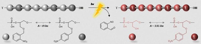 Secret messages hidden in light-sensitive polymers