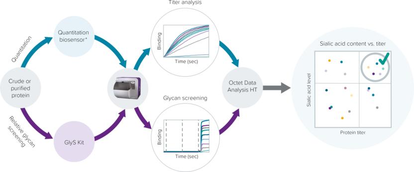 Discover the future of HPLC and ELISA today - - Perform antibody ...