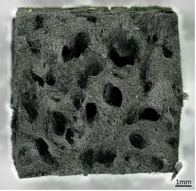 Unique material from marine bath sponge skeleton