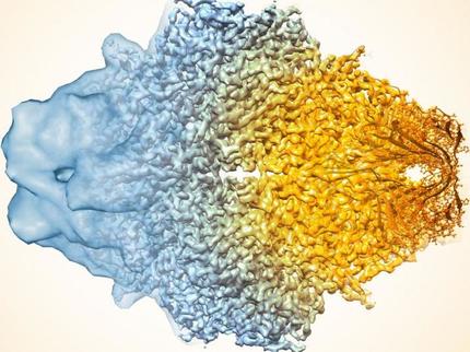 New algorithm sharpens focus of world's most powerful microscopes