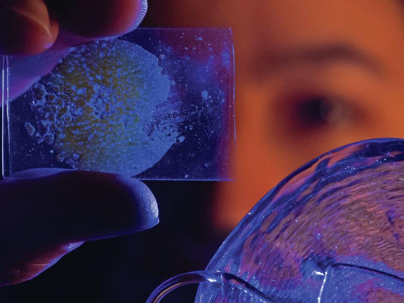 Novel glass materials made from organic and inorganic components