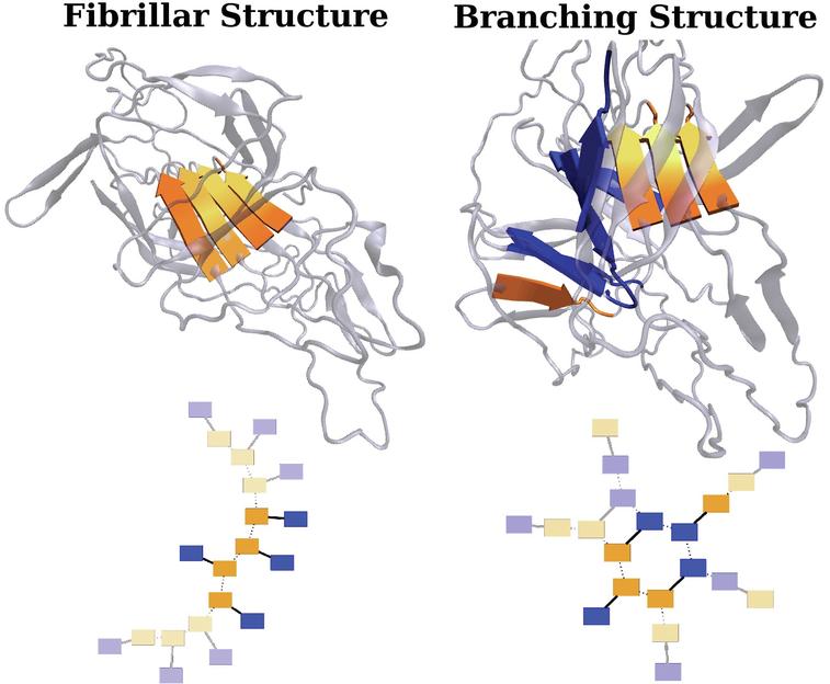 Bad proteins branch out