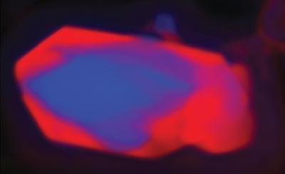 Advanced light source sets microscopy record