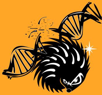 Sonic Hedgehog protein causes DNA damage and the development child ...