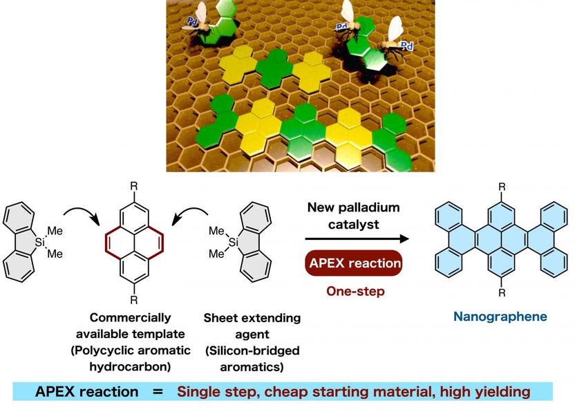 A rapid extension of nanographene sheets from readily available ...