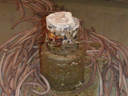 Glibber aus der Tiefsee