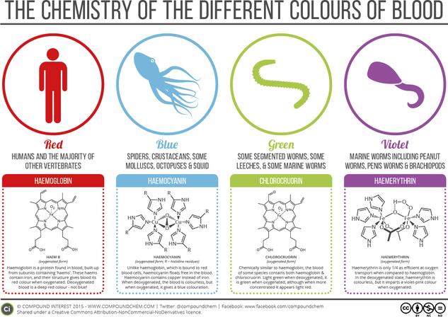 The Chemistry of The Colours of Blood