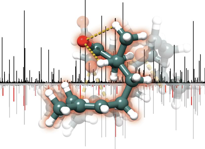 Unexpected flexibility found in odorant molecules