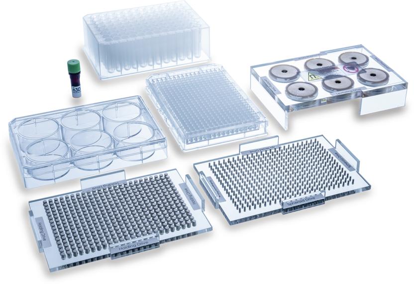 Magnetic 3D Cell Culturing – Simple and Effective Technology with Wide ... Magnetic 3D Cell Culturing – Simple and Effective Technology with Wide ...