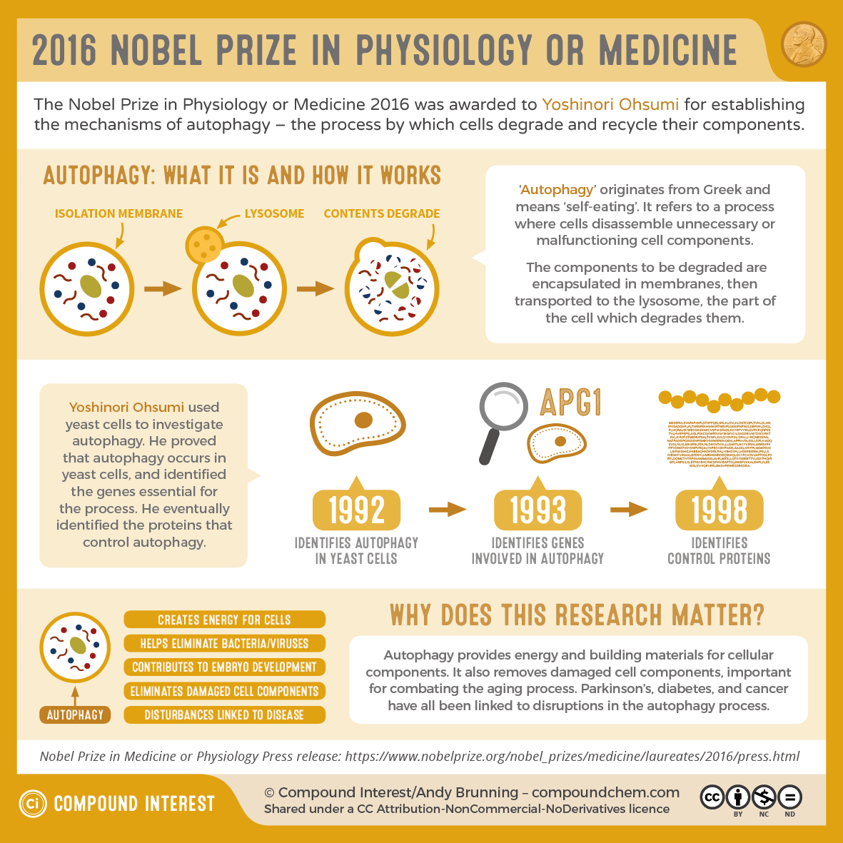 Nobel Prize in Physiology or Medicine 2016