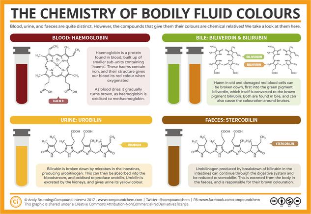 The Chemistry of the Colours of Bodily Fluids