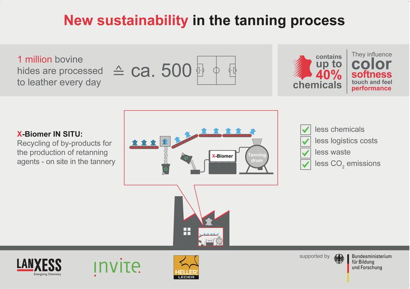 New sustainability in the tanning process