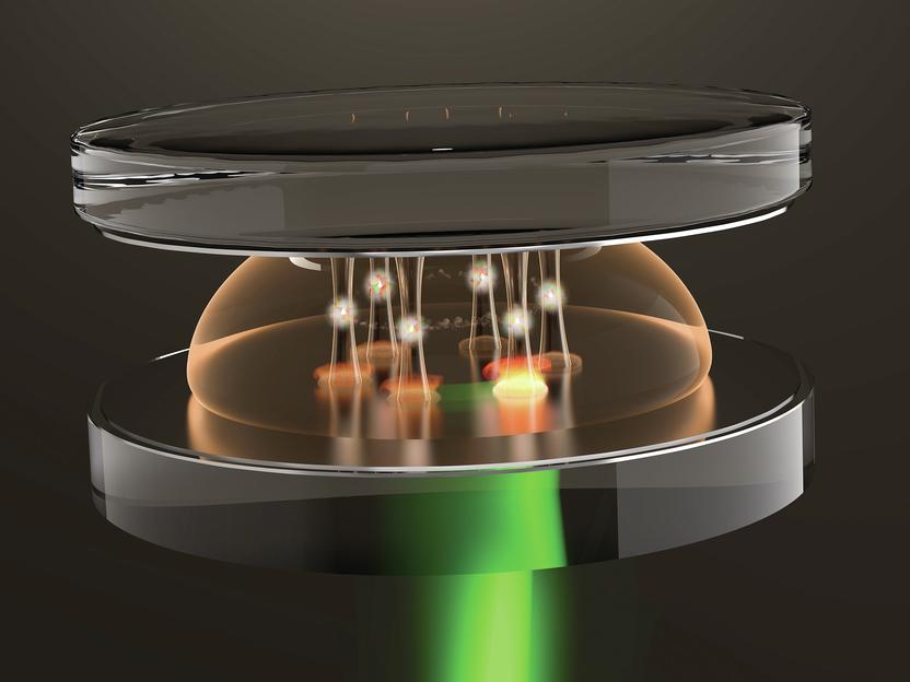 Exotic quantum states made from light: Physicists create optical “wells ...